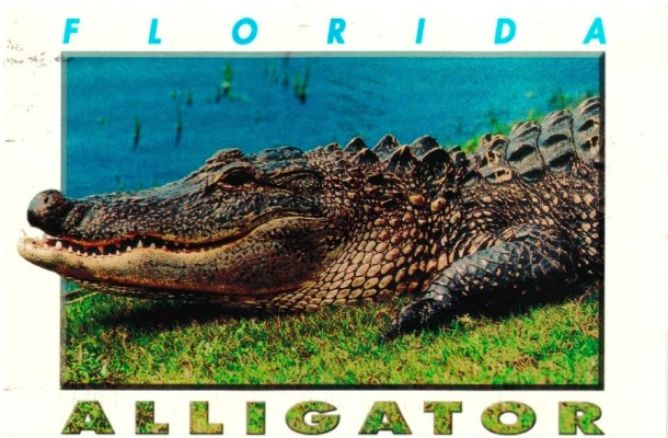 The Streamline – Gulf Stream Magazine