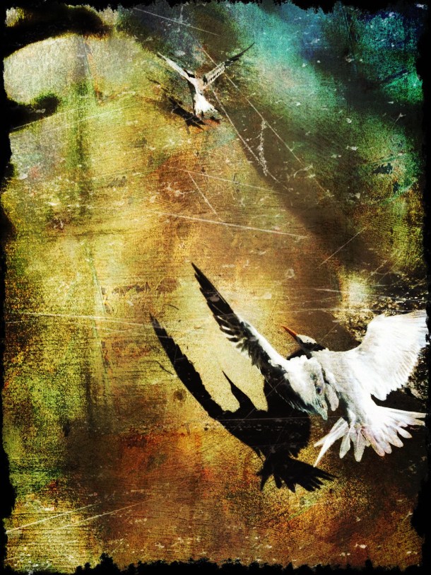 Online #10 – Gulf Stream Magazine