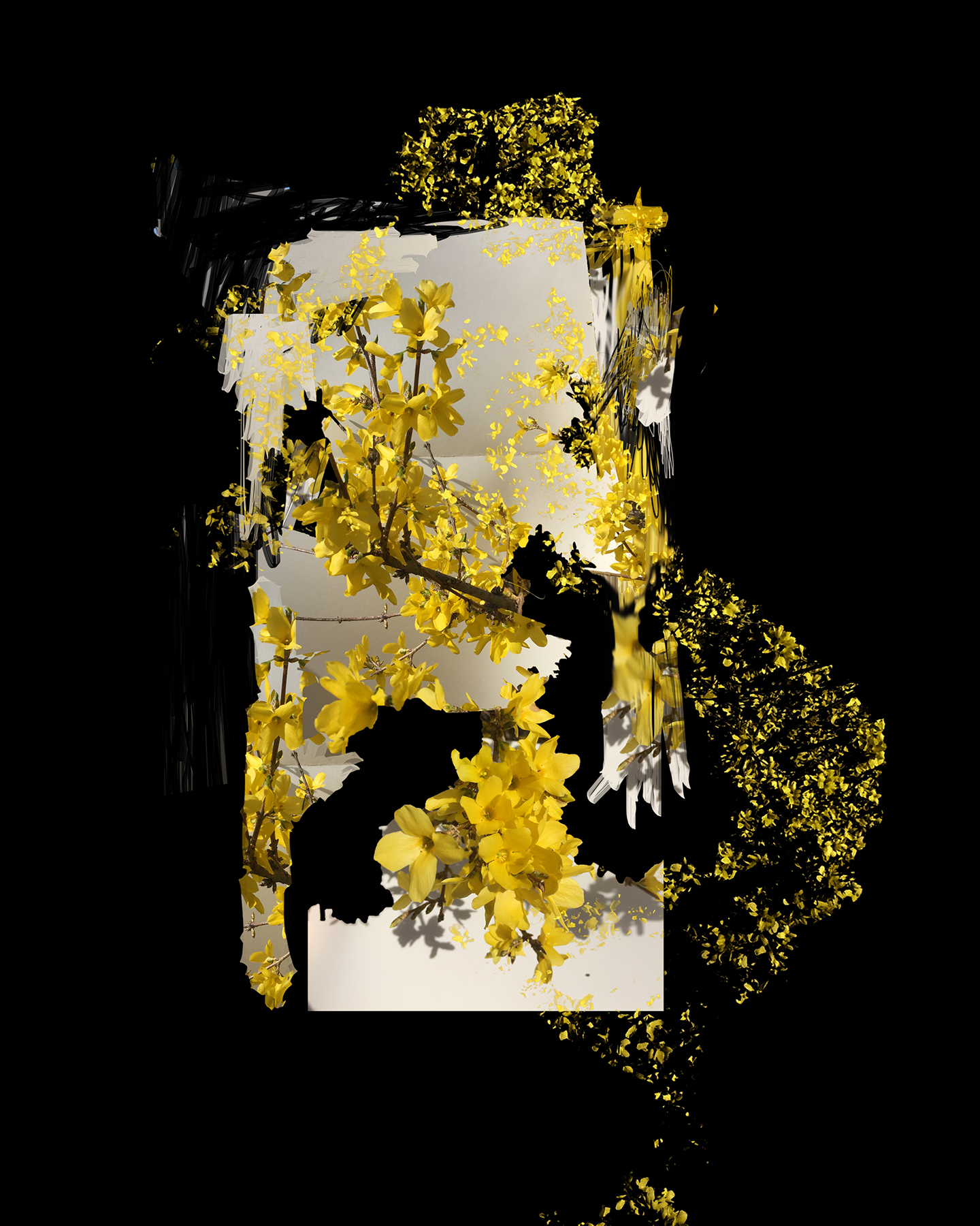 Replacing the Drive Train – Gulf Stream Magazine