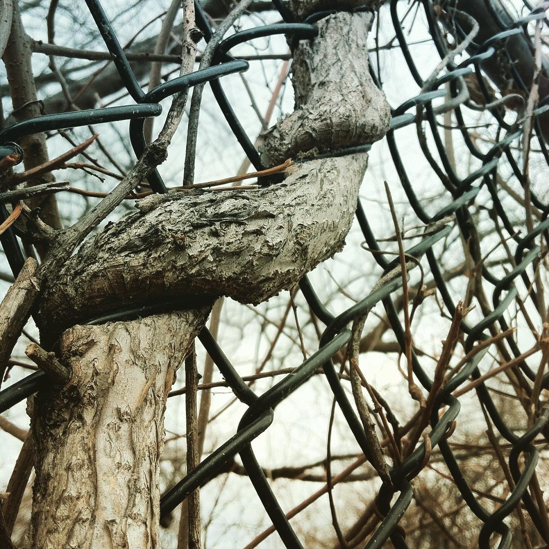 Online Issue #22 – Gulf Stream Magazine