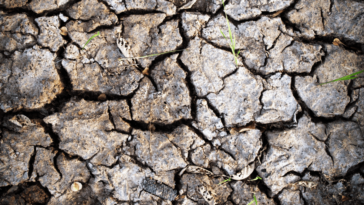 Madre Hada – Gulf Stream Magazine