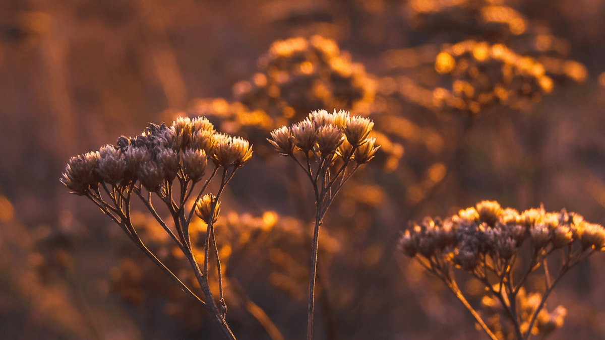 Summer Contest Issue Now Live – Gulf Stream Magazine