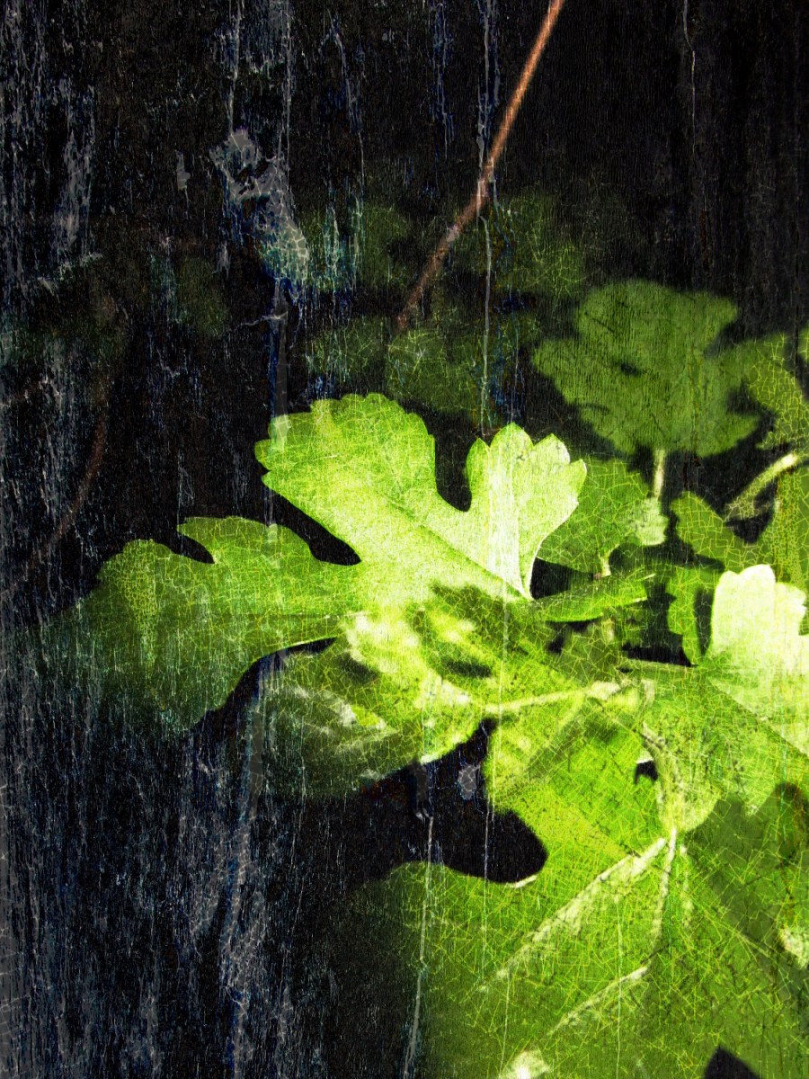 Ronald Reagan’s Aquarium by David Lee Garrison – Gulf Stream Magazine