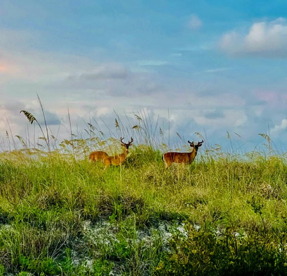 Mythology – Gulf Stream Magazine